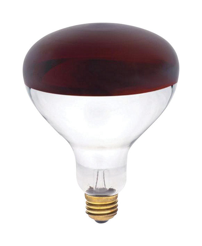 Westinghouse 250 W R40 Reflector/Heat Lamp Incandescent Bulb E26 (Medi ...