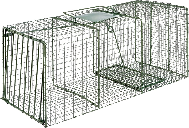 Duke Traps 1114 Cage Trap, 36 in L, 15 in W, 14 in H – SupremeDIY